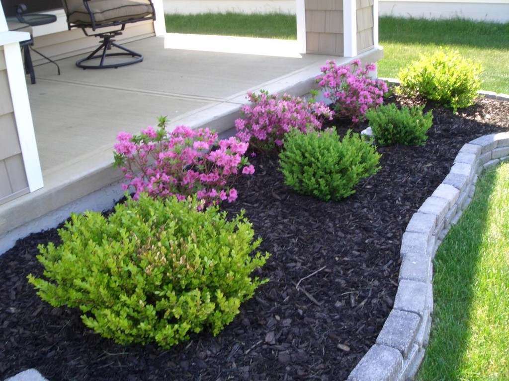 Locating the Perfect Landscaping Plants | Davis Lawn Care Services